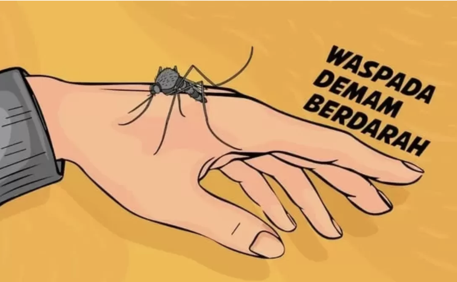 Mengenal Penyakit Demam Berdarah (DBD): Gejala, Penyebab, dan Cara ...