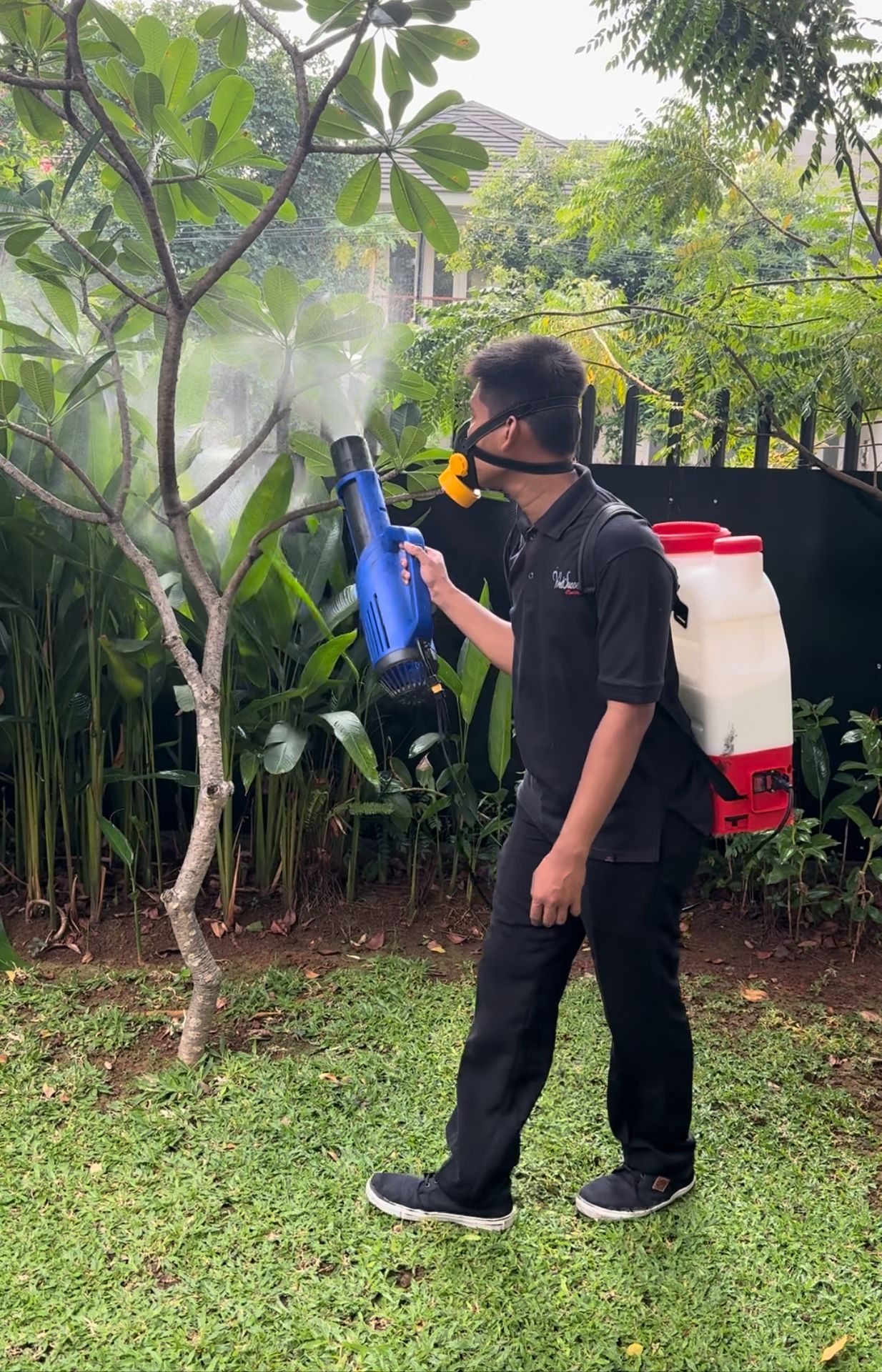 Misting Blower: Solusi Efektif dalam Pengendalian Hama di Area Tanaman ...